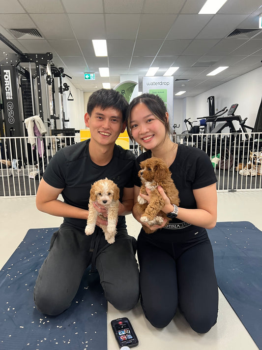 Puppy Yoga Sydney | Classes Across Chatswood, Parramatta, Rhodes & More ...